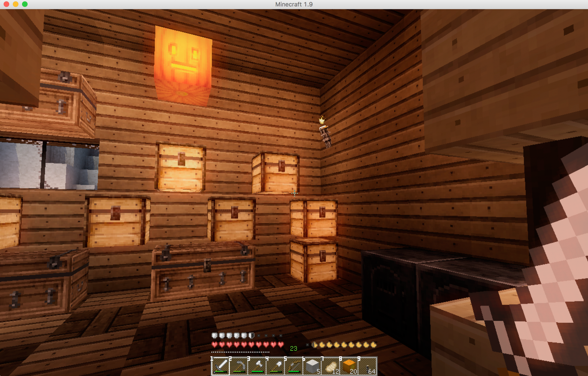 Minecraft | HobbyFields