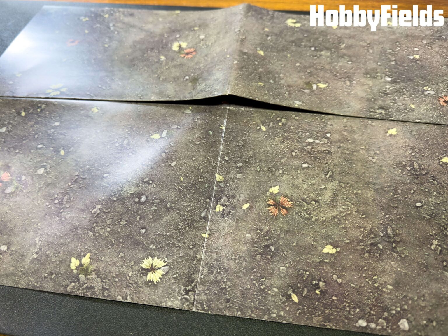 アシェットの週刊ウォーハンマー発売！創刊号と第2号を買ってみた。 | HobbyFields